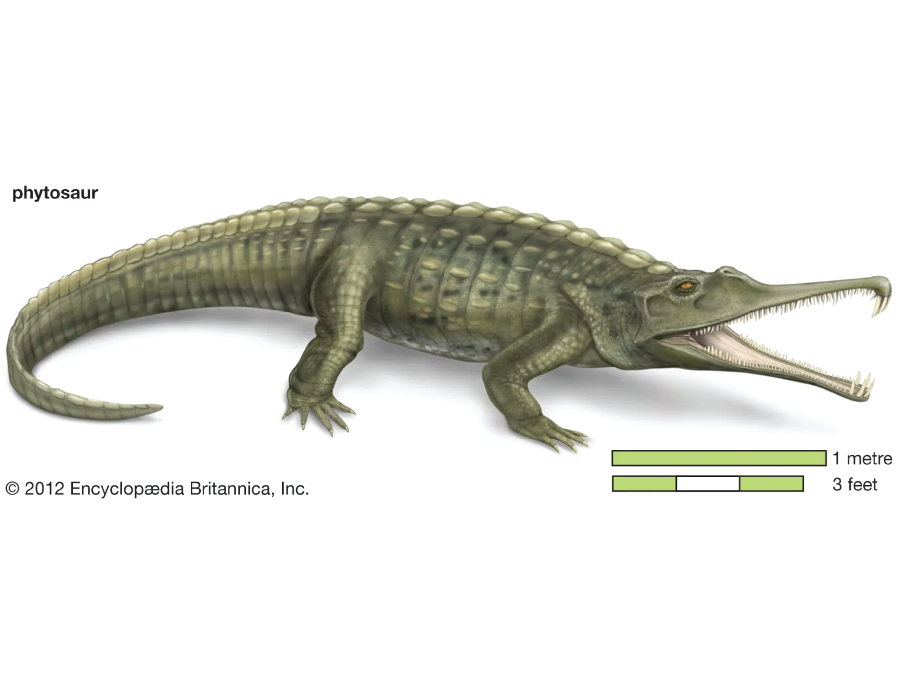 Centennial Dinosaurs